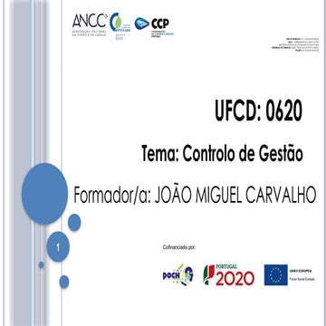 Manual da ufcd 0620 para empresários.pptx