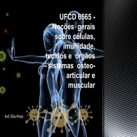 ufcd_6565_-_defesas_nao_especificas-convertido (1).pptx