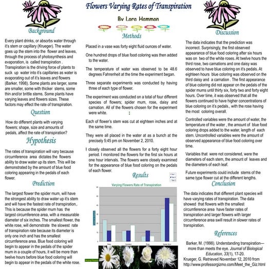 Ufo rate of transpiration | PPTX
