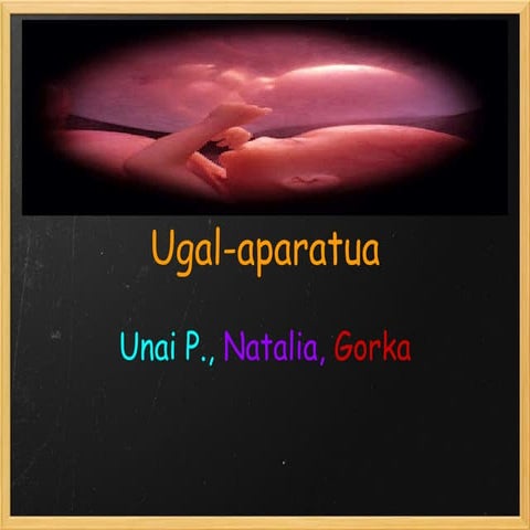 Ugal aparatua | PPT
