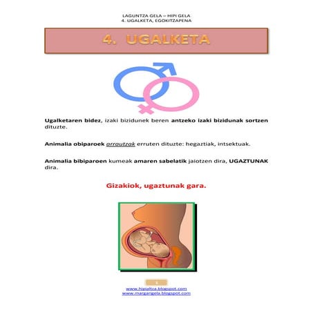 Ugalketa 4. gaia | PDF