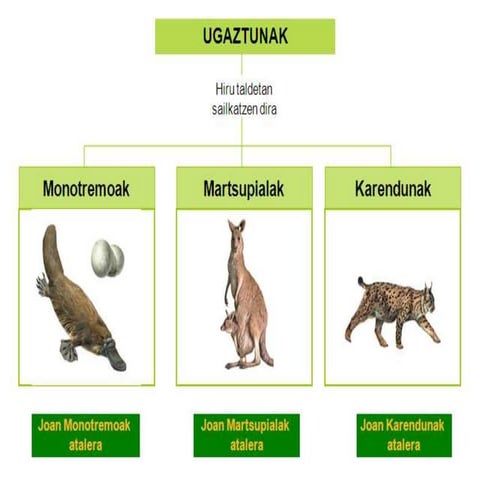 Ugaztun motak | PPTX