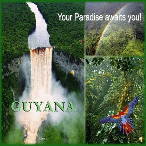 guyana forest exploration | PPT