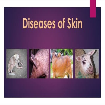 geneticvariation.ppt-genetic variation -Heredity chapter -for grade 10 ...