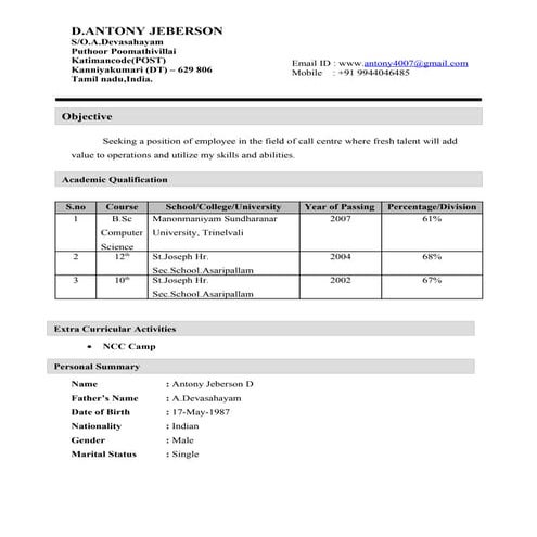 Resume model | RTF