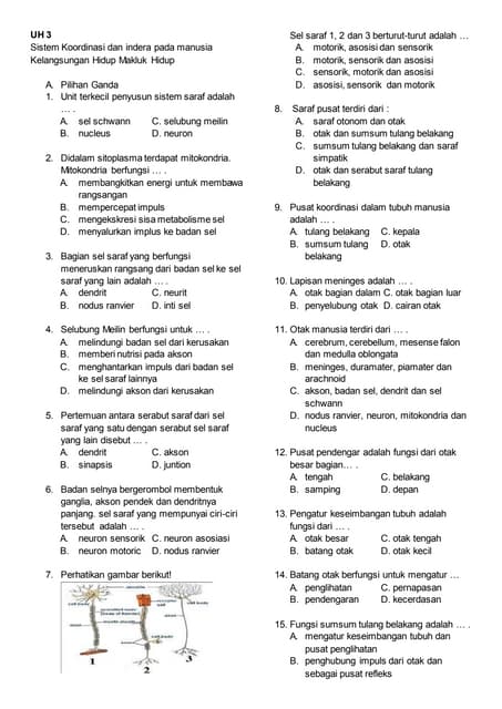 BUKU LATIHAN SOAL UJIAN MASUK SPESIALIS SARAF UKMPPD CPPDS | PDF