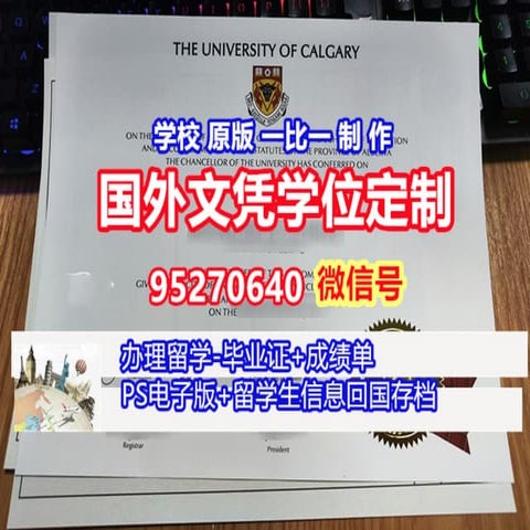 UIUC degree offer diploma Transcript | PPT