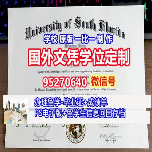 UIUC degree offer diploma Transcript | PPT