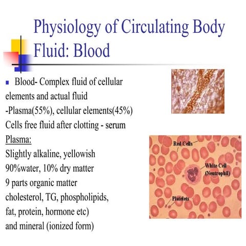 Blood (3) | PPT