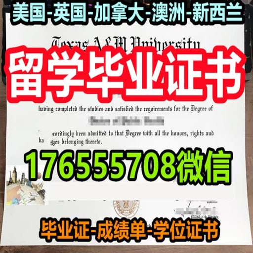 USYD文凭 | PDF