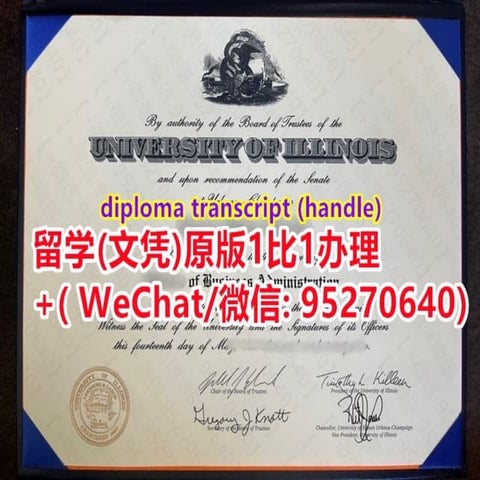 Illinois at Urbana-Champaign degree offer diploma Transcript | PPTX