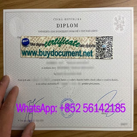 UJEP diploma. UJEP - Ústí nad Labem diploma | PPT