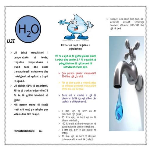 RENDESIA E UJIT NE JETEN TONE | DOCX