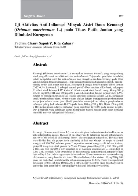 Rahmadiyah azaria rahmah (0910710107) | PDF