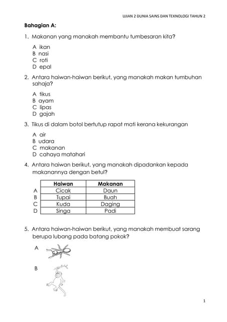 soalan pendidikan islam tahun 2 | DOCX