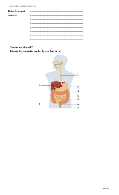 LKPD TRANSLASI KELAS XI | PDF