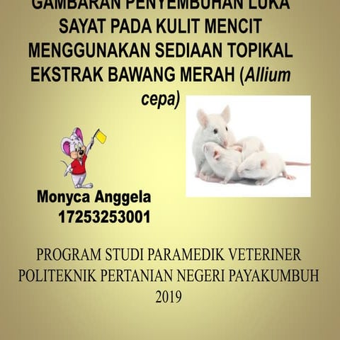 GAMBARAN PENYEMBUHAN LUKA SAYAT PADA KULIT MENCIT MENGGUNAKAN SEDIAAN ...