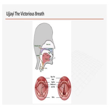 Ujjayi The Victorious Breath.pptx | Lung and Respiratory Health ...