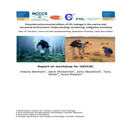 Injection: Risks and challenges - Injection of CO2 into geological rock ...