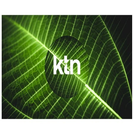 UKCPN & KTN: Virtual Pitching and Networking Event | PDF