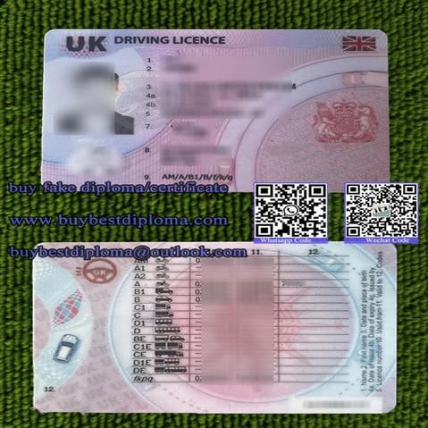new version UK driving licence | PDF