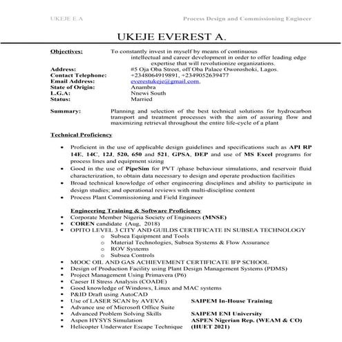Ukeje CV | DOC