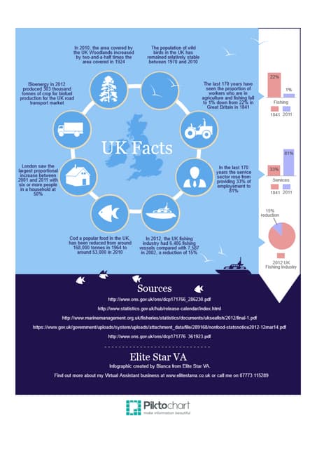 Elite Star VA Fun Facts Infographic | PDF