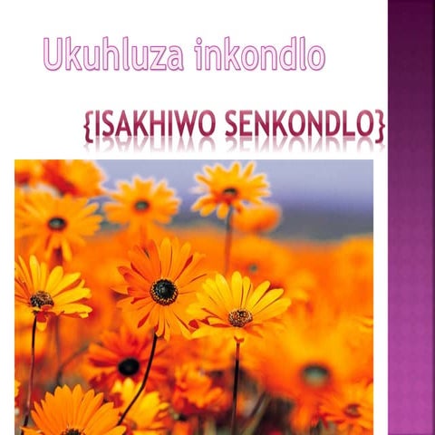 Izinhlobo zezinganekwane