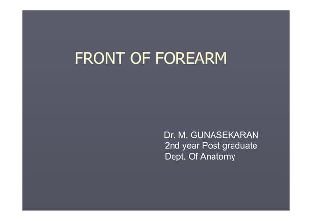 Forearm muscles anterior (flexor) compartment | PPTX