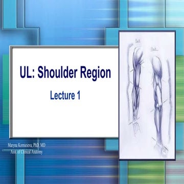 Shoulder Region | PPTX