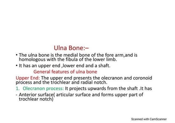 Tibia bone.pptx