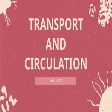 Transport and Circulation: Plants a.pptx | Heart and Cardiovascular ...