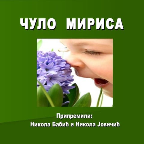 culni organi u kozi, culo ukusa i mirisa.pptx