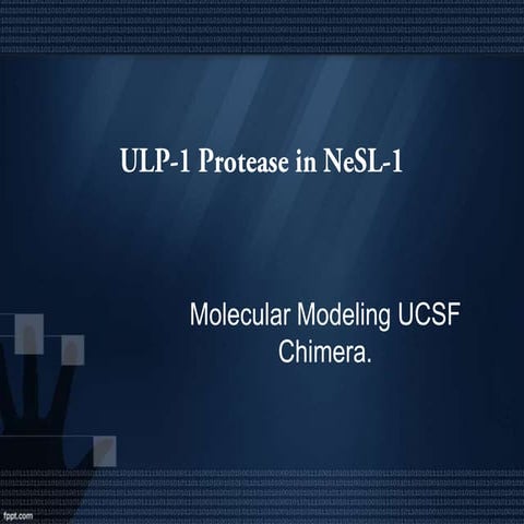 Mtpl presentation18 slides | PPT
