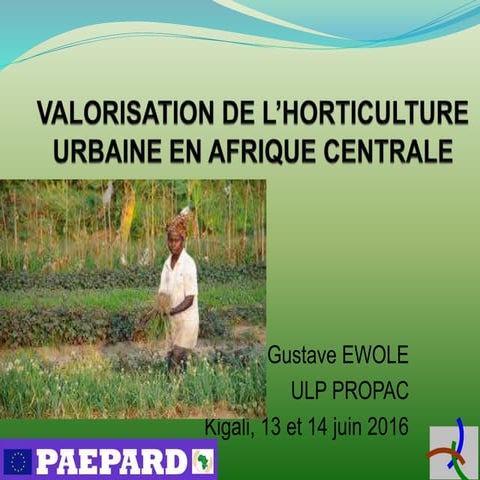 Pepper value chain development consortium (TOGO) | PPTX