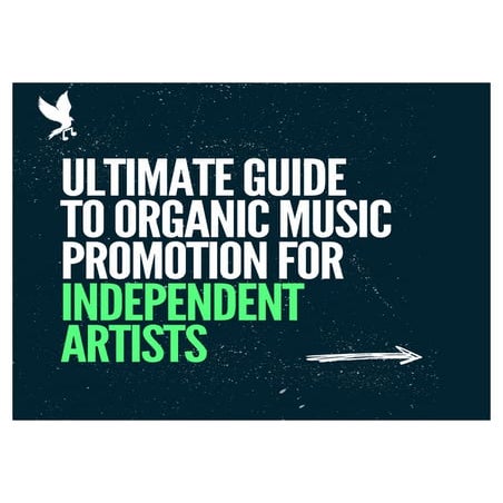 Ultimate Guide to Organic Music Promotion for Independent Artists | PDF
