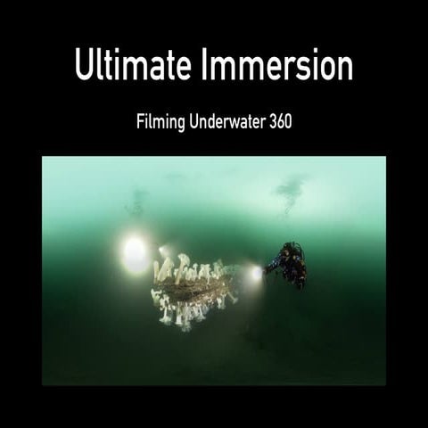 Ultimate immersion | PDF