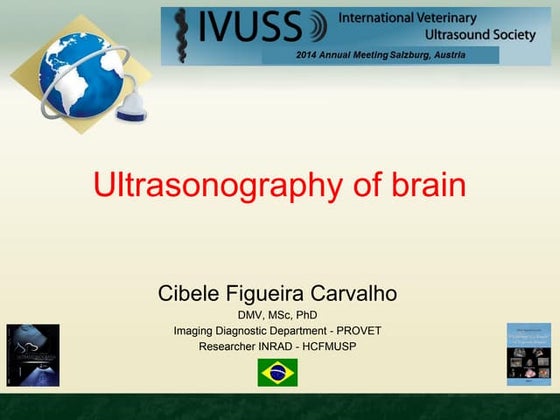 Typography analysis | PPTX