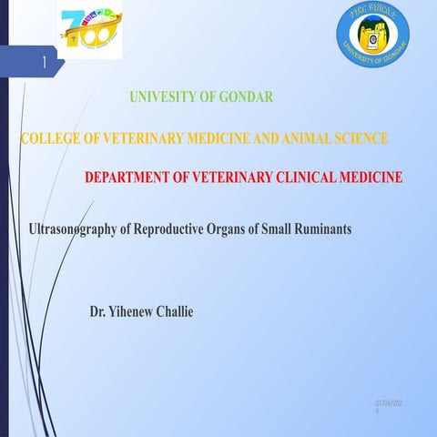Ultrasonography of Reproductive Organs of Small Ruminants.pptx