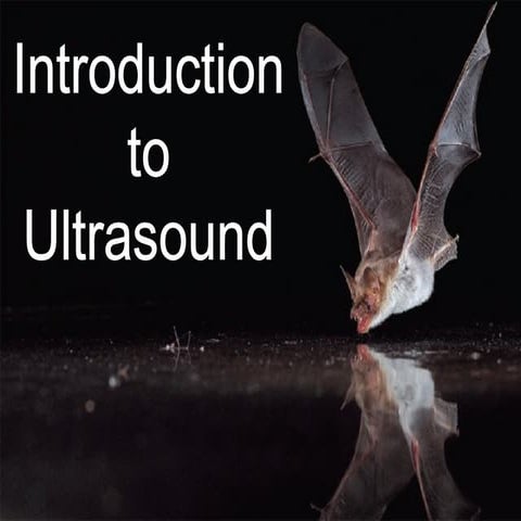 ultrasound lecture notes power poin.pptx