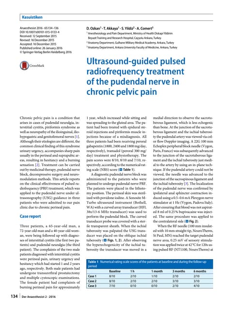 Ultrasound-guided pudendal nerve pulsed radiofrequency in patients with refractory pudendal ...