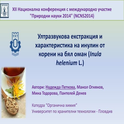 Ultrasound-assisted extraction and characterisation of inulin-type ...