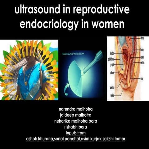 Ultrasound in reproductive endocrionology | PPTX