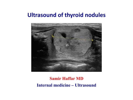Samir Haffar, Gastroenterologist - ultrasonographist