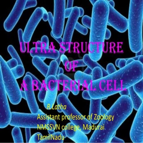 Ultra structure of bacterium | PPT