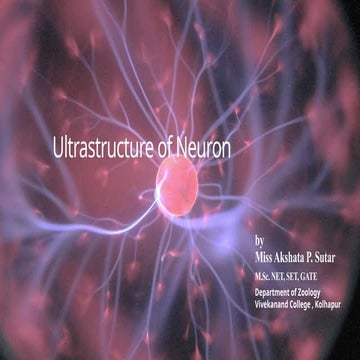 Ultrastructure-of-Neuron and its detailed information | PPTX