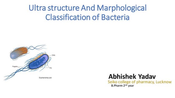 DPT - Microbiology introduction | PPT