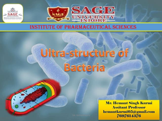Structure of bacterial cell | PPTX