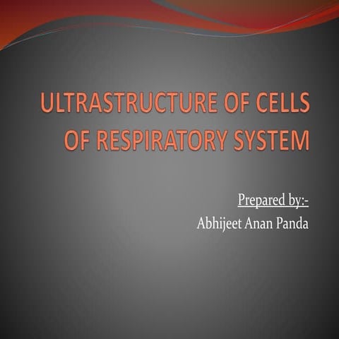 Lecture13 microscopic structure of the respiratory | PPT