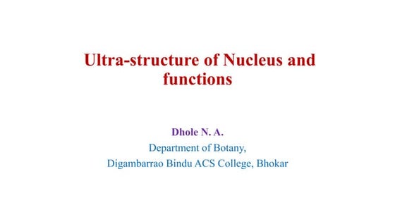 NUCLEUS.pptx structure and fuction of nucleus | PPT